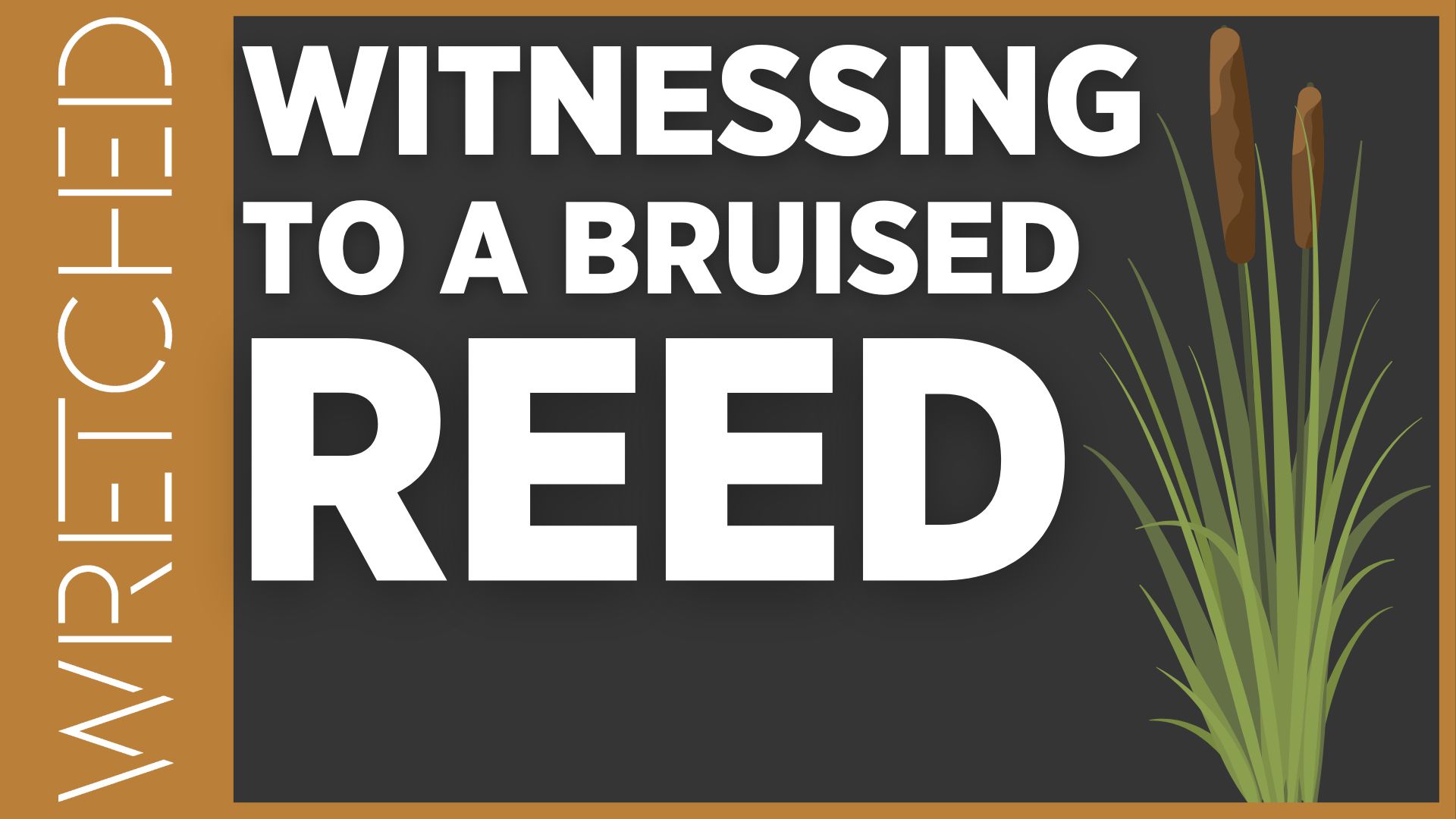 WITNESSING TO A BRUISED REED - Wretched